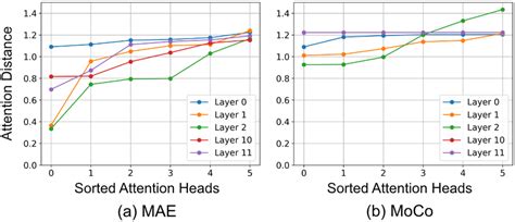 comparison of attention distances achieved through masked autoencoding
