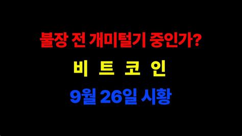 불장 전 개미털기 시작 비트는 조정 중 9월 26일 비트코인 시황 비트코인 Youtube