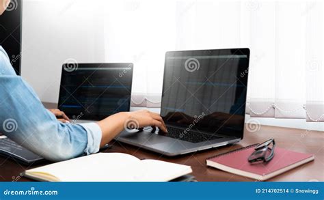 Software Developer Or Programmer Working Data Debugging Improvement
