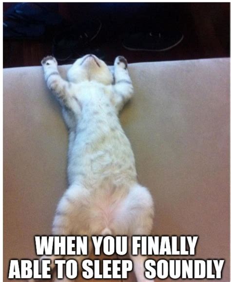 When You Finally Able To Sleep Without A Care Of The World After