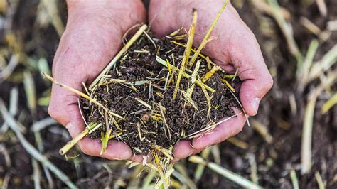 Ultra Shallow Tillage Method And Concept Explained Väderstad