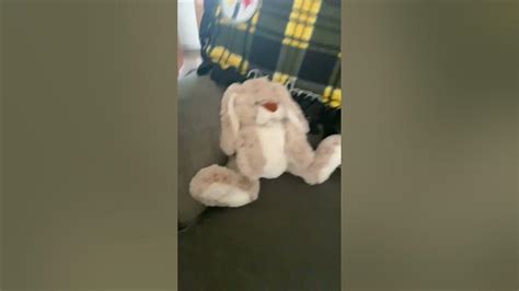 Dont Mess With Spongebob Youtube