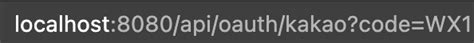Spring Boot Oauth 20 카카오 로그인