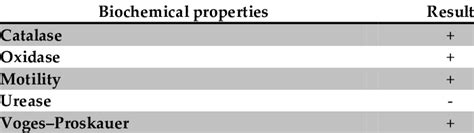 Biochemical Properties Of Sphingobacterium Sp Sah 05 Strain
