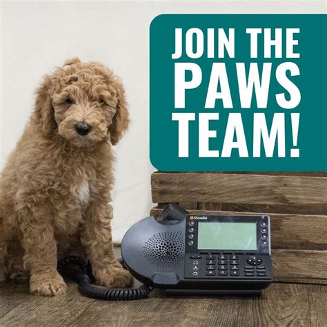 Hiring Joinourteam Pawswithacause Paws With A Cause
