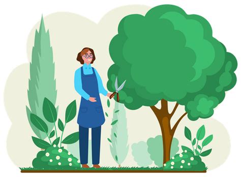 Tree Pruning Illustrations Images And Vectors Royalty Free