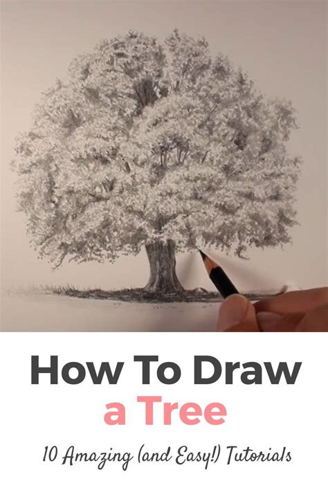 10 Amazing And Easy Step By Step Tutorials Ideas On How To Draw A Tree With Pencils More