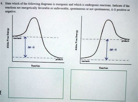 State Which Of The Following Diagrams Exergonic And Which Is Endergonic