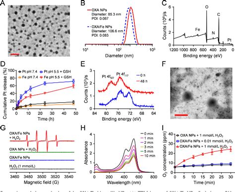 Figure 4 From Bimetallic Nanoparticles As Cascade Sensitizing Amplifiers For Low Dose And Robust