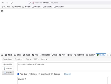 Apache Log4j2漏洞复现vulfocus启动漏洞慢 Csdn博客