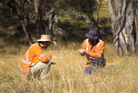 Working With Consultants To Understand Environmental Offsets