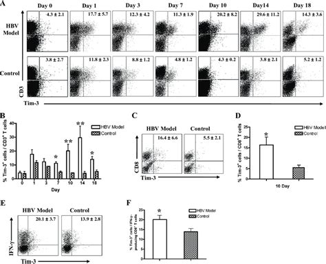 Tim 3 Expression Is Increased On Hepatic Cd8 T Cells In Hbv Model Download Scientific Diagram