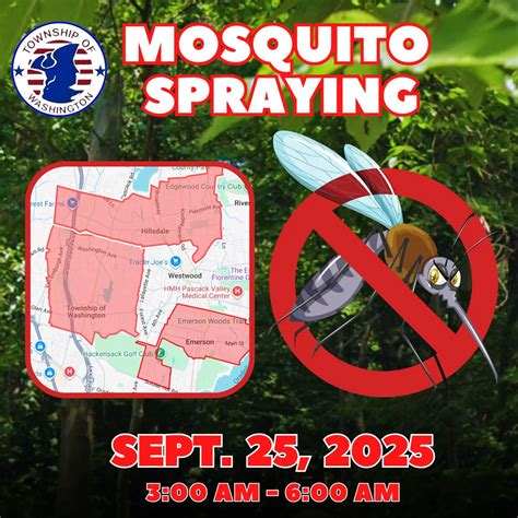 Mosquito Larvae Control The Ridgewood Blog