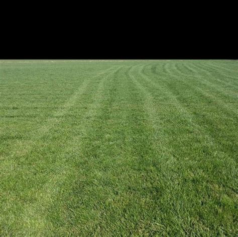 Green Space მწვანე სივრცე