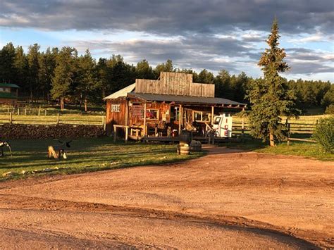 M Lazy C Ranch Lake George All You Need To Know BEFORE You Go With Photos Tripadvisor