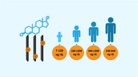 Free Testosterone Range What Is Good Levels By Age Chart