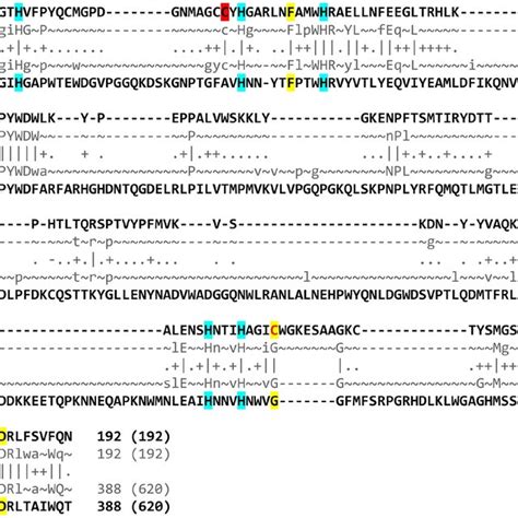 Results Of Hhpred Search Pairwise Alignment And Alignment Of Consensus Download Scientific