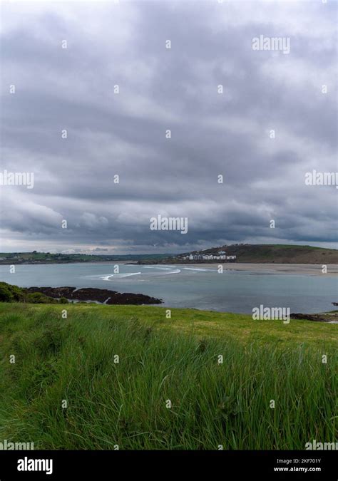 View Of Clonakilty Bay Thick Grass The Coastline Of The Ireland