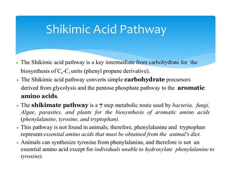 Shikimik Acid Pathway Pdf