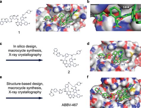 Of The Structure Based Design Of Macrocyclic Mcl 1 Inhibitor Abbv 467 A Download Scientific
