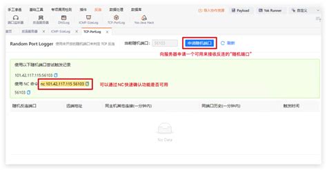 Yakit不用 Token 也能执行的反连检测技术 在公网全局配置yakit反连地址 CSDN博客 Yakit不用 Token 也能执行的反连检测技术 在公网全局配置yakit反连地址 CSDN博客