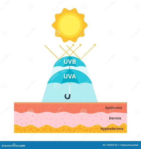 Uva And Uvb Protection Concept Stock Vector Illustration Of Logo