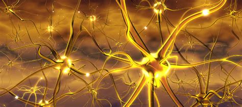 Brainwave Synchronization