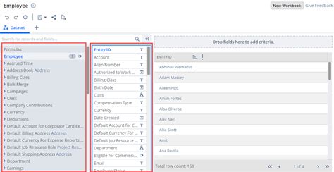 Netsuite Applications Suite Finding Record Type And Field Names
