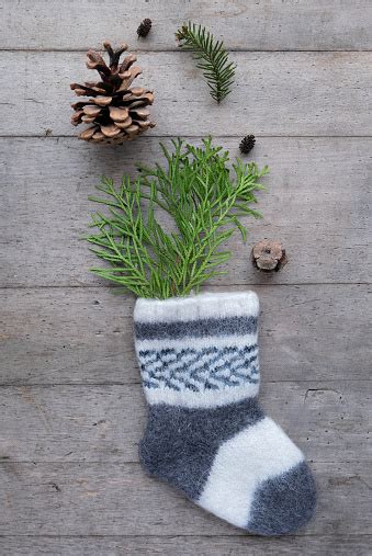 환경 친화적 인 크리스마스 플랫 레이 Hygge 스타일의 겨울 휴가 전나무 가지와 원두 니트 아이 양말 소박한 나무 배경에 아늑함 Xmas 장식입니다 지속 가능한 생활 0