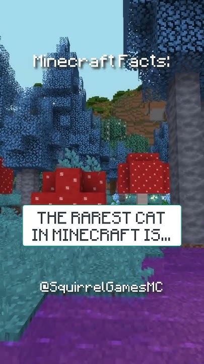 The Rarest Cat In Minecraft Is Minecraft Facts Shorts Youtube