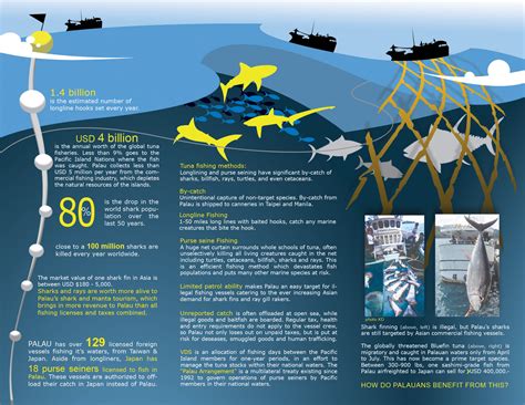 Raising Awareness On Threats To Migratory Sharks Ruddy Headed Goose