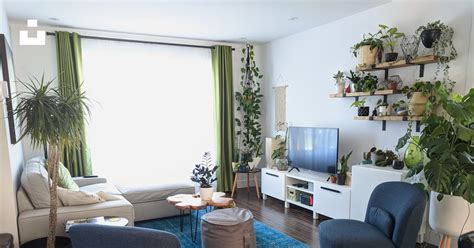 녹색 화분에 심은 식물 근처의 회색 소파 의자 사진 Unsplash의 무료 퀘벡 이미지