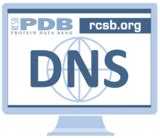 RCSB PDB Homepage