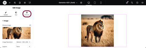 CSS Selectors In Elementor Elementor