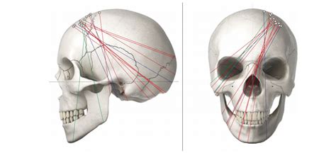 冠状面和矢状面示意图