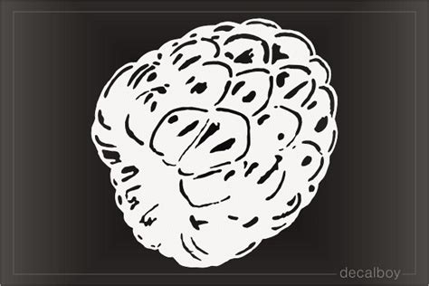 Raspberry Decal