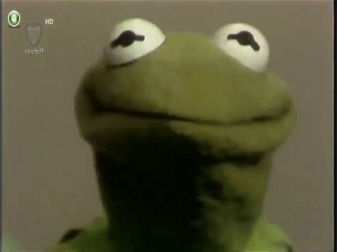 Kermit The Frog Scrunched Face Kermit The Frog Image Gallery List