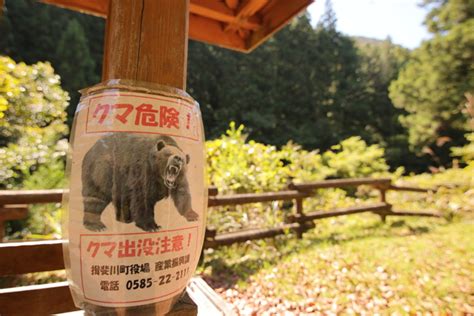 ｮﾟДﾟll怖ァ・・ By ポチタマ （id：12646134） 写真共有サイトphotohito