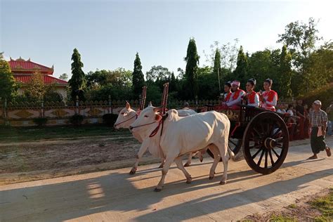 ချောင်းဆုံမြို့နယ် ကမာမိုကျေးရွာ ဧည့်သည်ခေါ်ဘုရားပွဲတော်နှင့် နှစ် ၅၀ ပြည့် ရွှေရတုအထိမ်းအမှတ