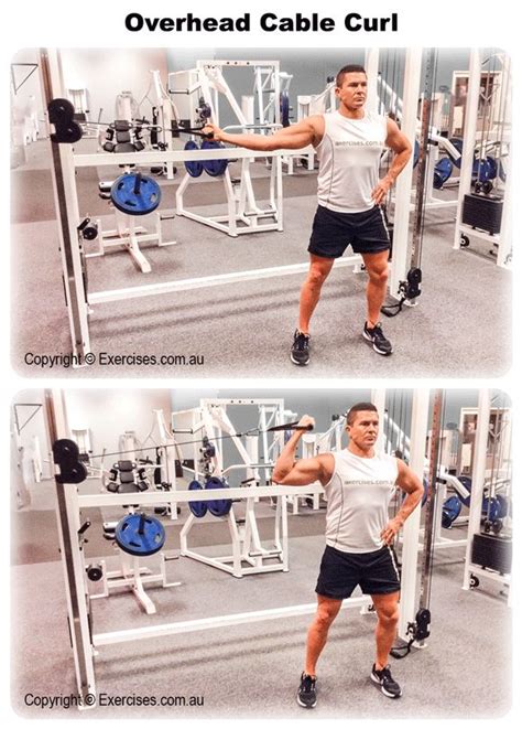 Overhead Cable Curl Is A Unique Exercise For Building The Biceps This Exercise Generates A