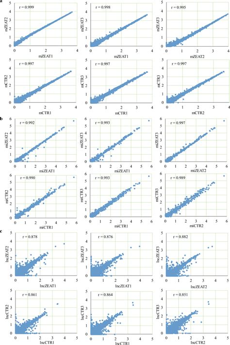 Pearson Correlation Analysis Of Experimental Samples Within Zea Treated Download Scientific