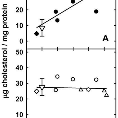 Influence Of Cell Cholesterol On Plasma Membrane And Intracellular Download Scientific Diagram