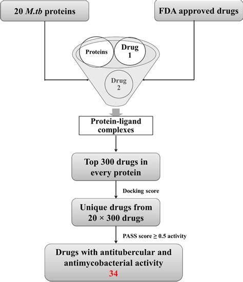 Virtual Screening Workflow For The Identification Of Drug Molecules