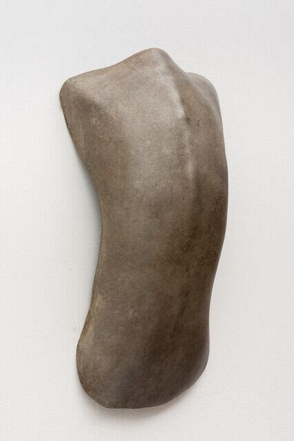 Julie Rrap Carapace 5 2024 Available For Sale Artsy