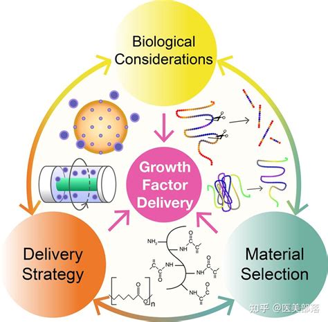 从红肿到完美，激光治疗后用「生长因子」帮你快速恢复 知乎