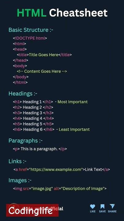 Html Basic Concept Coding Shorts Youtube