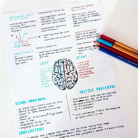 Psychology Experiment Ideas Examples And Forms