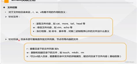 lunix基础命令 csdn博客