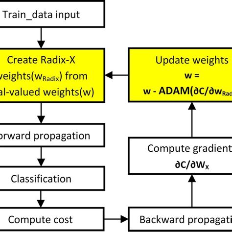 The Process Of Training Radix X Cnn Models The Gradients Of The Cost