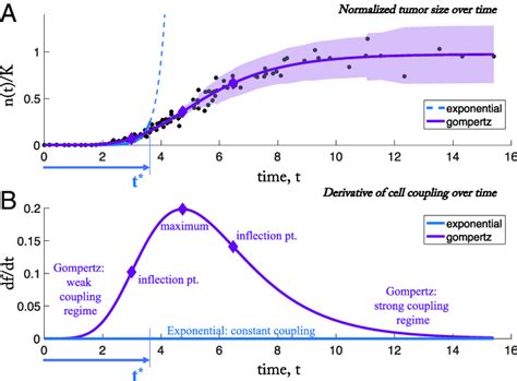 Exponential And Gompertz Fit Of Aggregate Tumor Data A Data